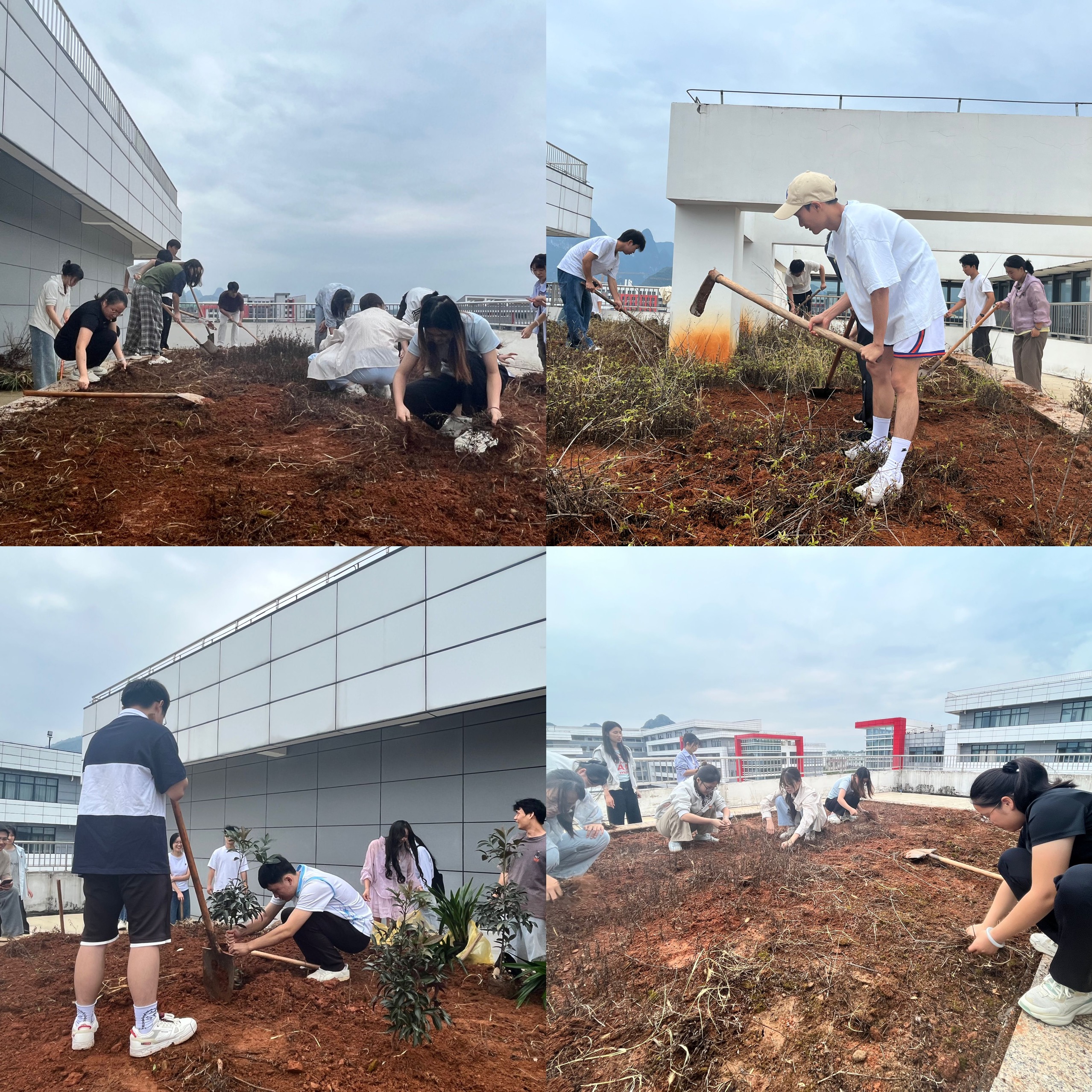 【组织育人】学院党委组织开展“劳动践党性，实干焕新颜”主题党日活动-欢迎访问桂林航天工业学院人工智能学院